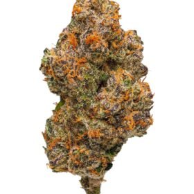 sprinklez weed - Experience the Balanced Effects of This Cannabis