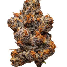 sprinklez weed - Experience the Balanced Effects of This Cannabis